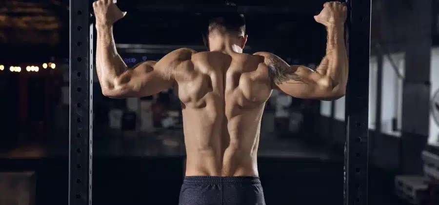 I migliori 15 esercizi per avere trapezi definiti in palestra - JeFemme.it